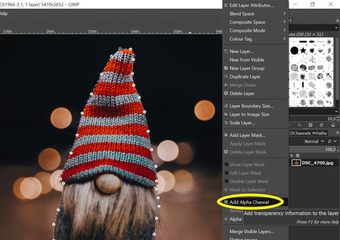 How To Cut Out An Image In GIMP Step By Step 